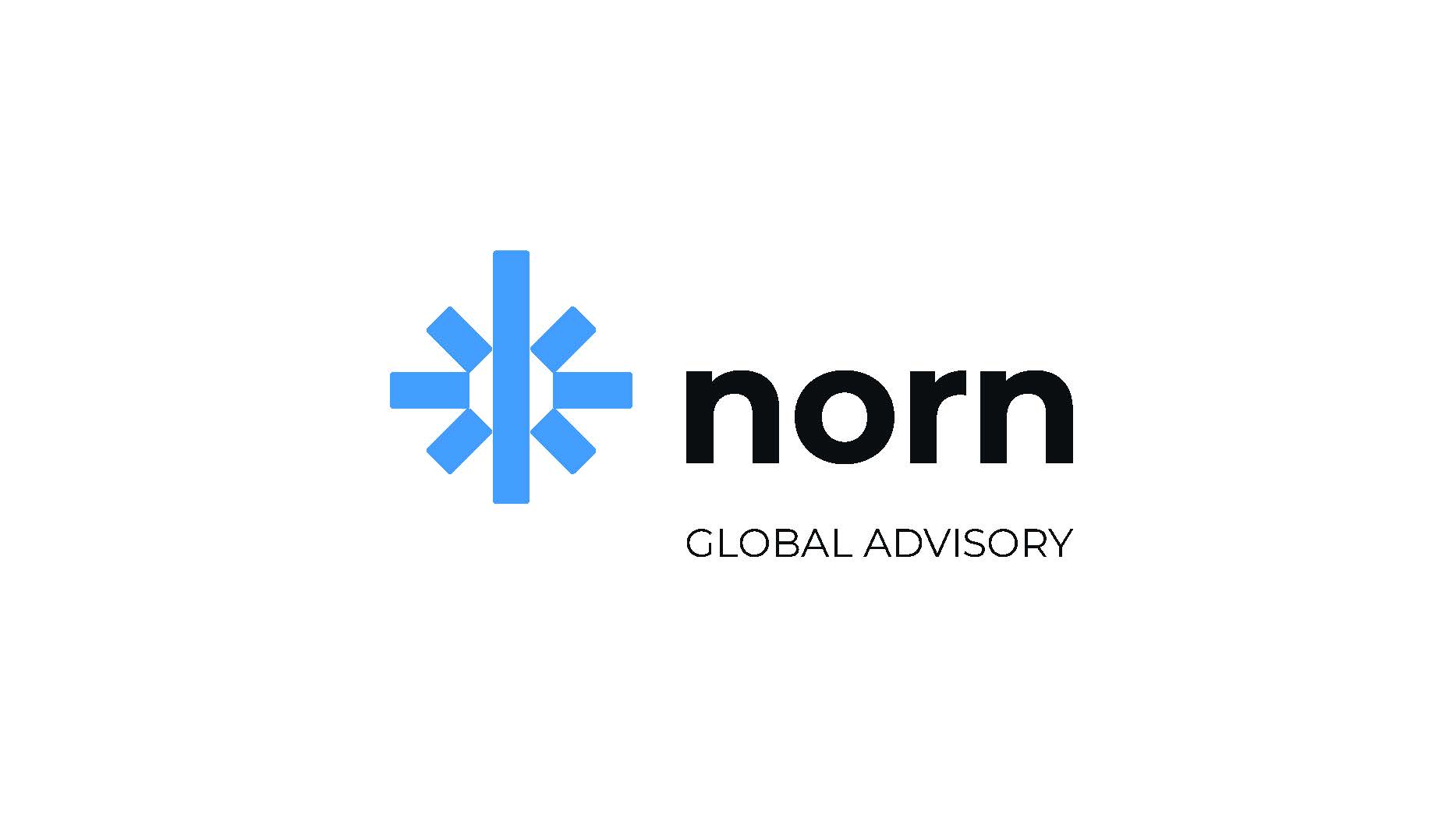 Introducing Norn and the Demo systems - Building a better humanity